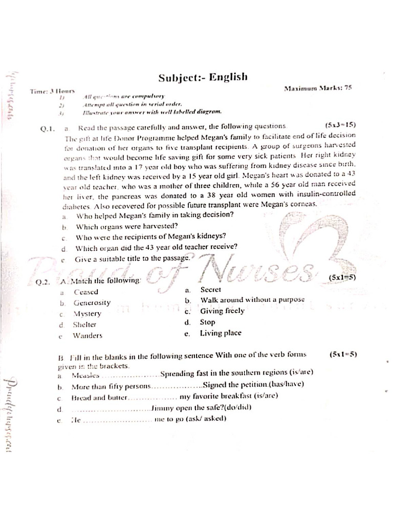 English Old Paper | PDF