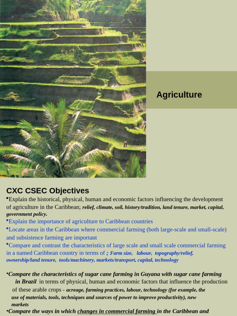 Caribbean Agriculture: Factors & Impact | PDF | Agriculture | Sugarcane