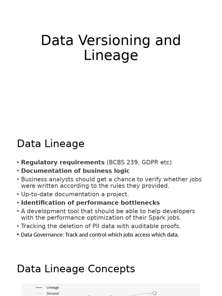 Data Versioning and Lineage | PDF