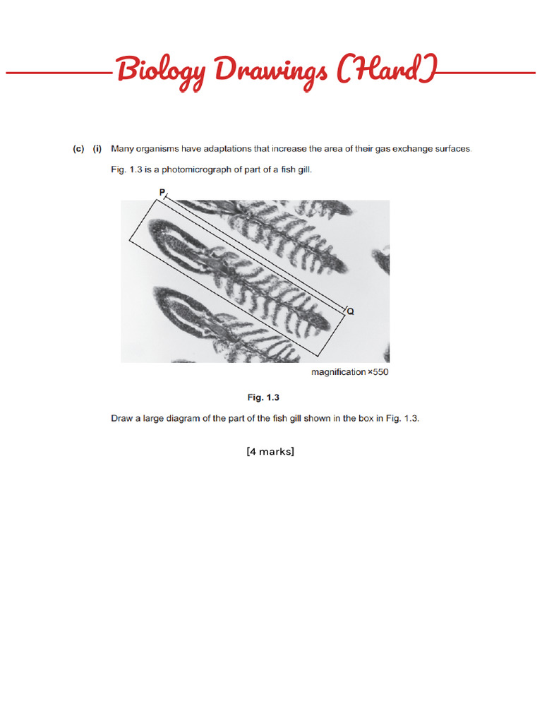 Biology Drawings Booklet by Vasumitra Gajbhiye (Hard) | PDF