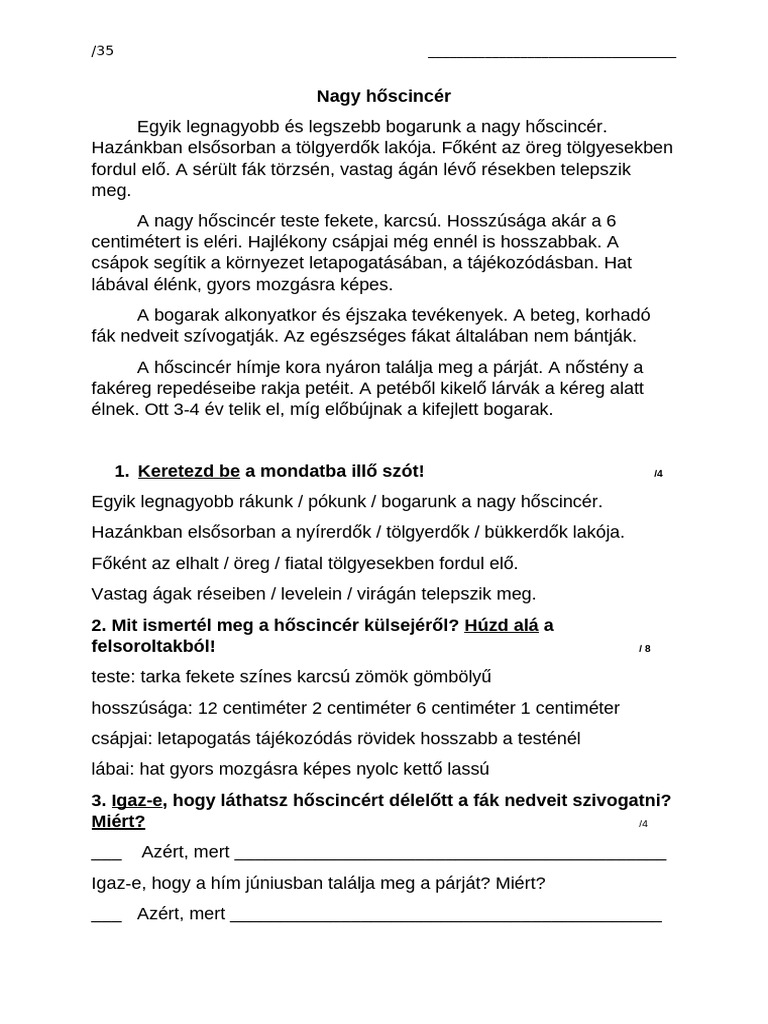 A Hőscincér Doga | PDF