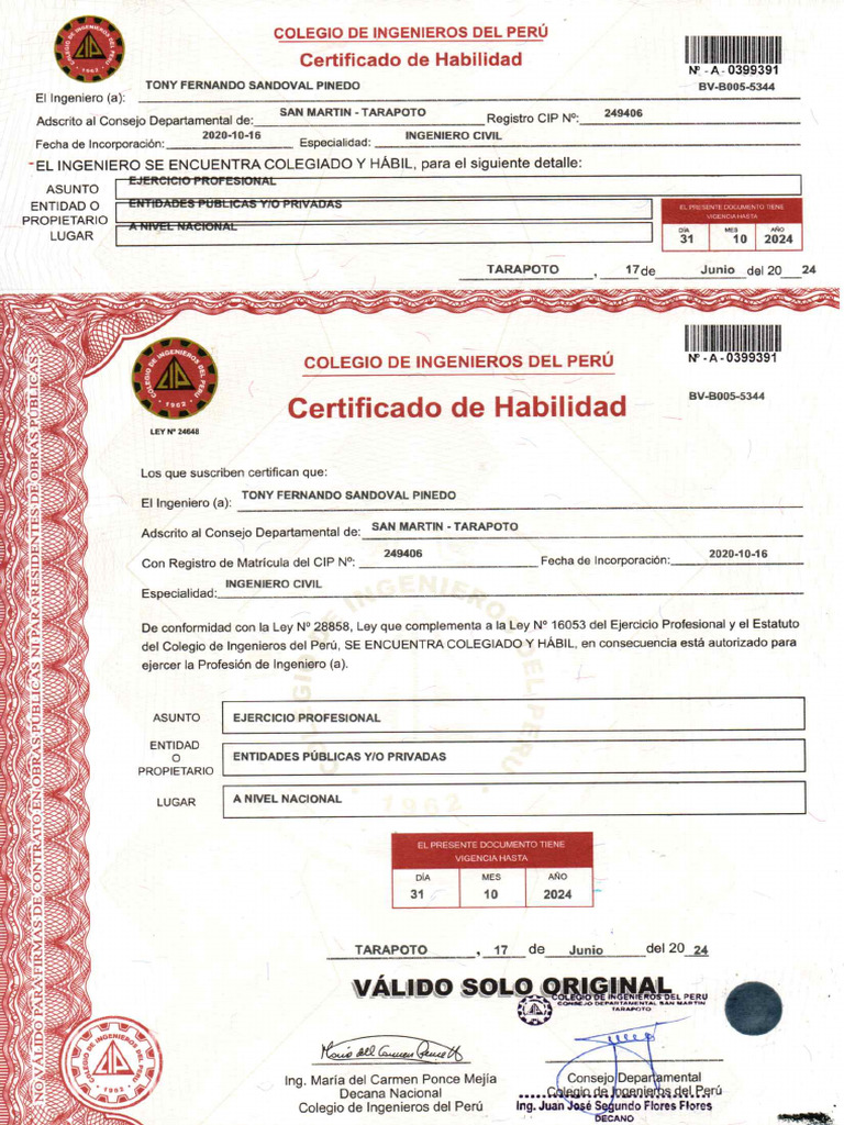 Tony Fernando Sandoval Pinedo | PDF