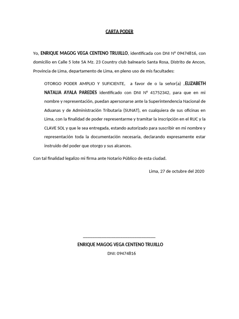 CARTA PODER (1) | PDF