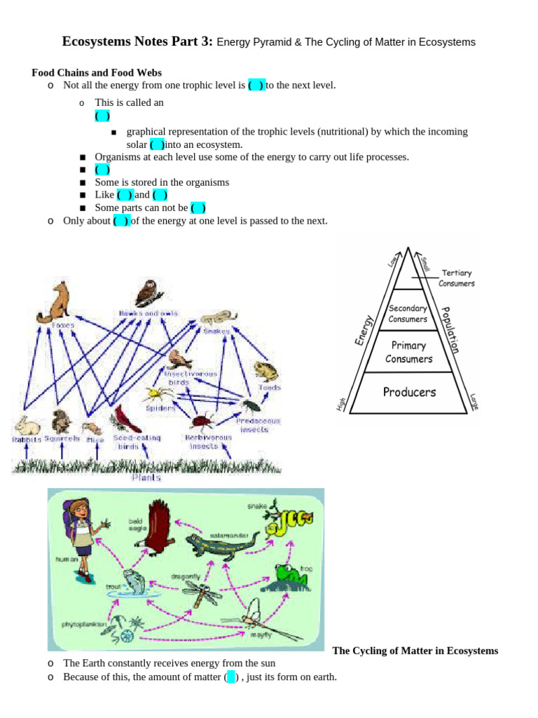 Rice Part 3 2020 Ecosystems STUDENT Notes | PDF | Food Web | Ecosystem