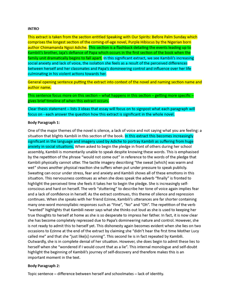 Kambili's Struggle for Identity and Voice | PDF