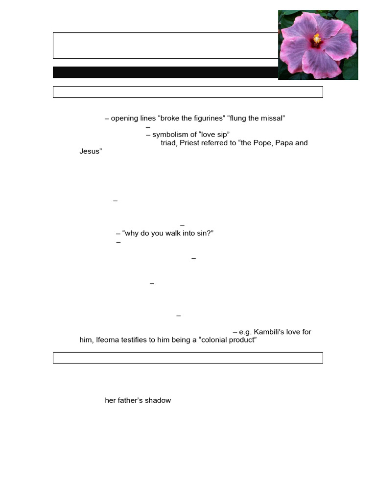 Purple Hibiscus Character Analysis Notes | PDF