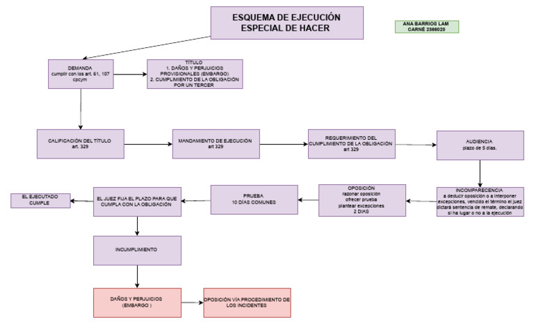 ESQUEMA EJECUCIÓN ESPECIAL DE HACER .drawio (1) | PDF | Justicia | Crimen y violencia