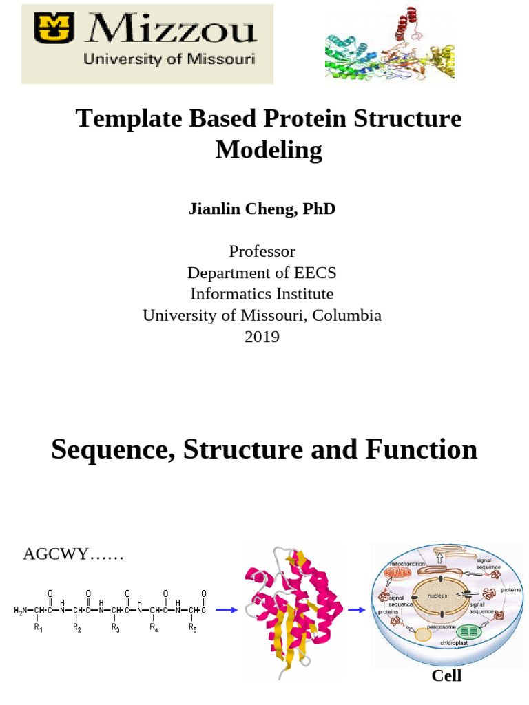 Template Based Protein Structure Modeling | PDF | Alpha Helix | Sequence Alignment