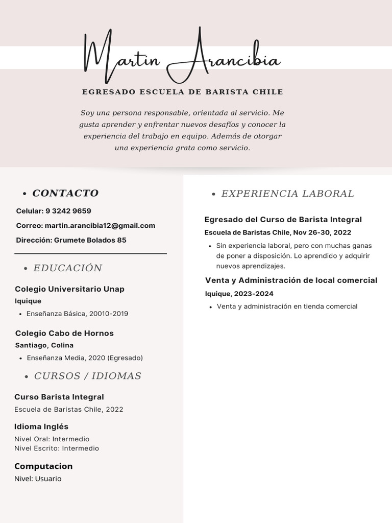 Curriculum Martin Arancibia | PDF