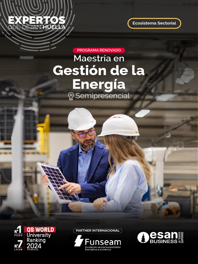 Maestr A en Gesti N de La Energ A | PDF | Sustentabilidad | Economía baja en carbono