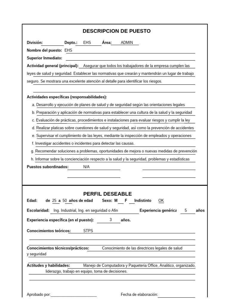 Descripcion de Puestos Ehs | PDF