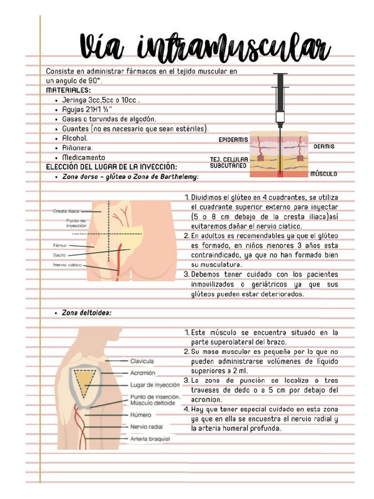 INTRAMUSCULAR | PDF