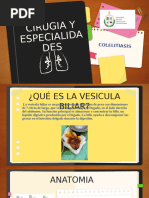 Vesícula en Porcelana y Signo de WES | PDF | Ciencia y matemáticas
