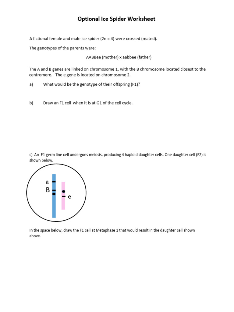 Ice Spider Worksheet | PDF