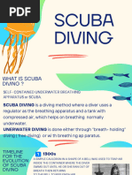 Beginner's Guide to Scuba Diving | PDF | Scuba Diving | Underwater Diving