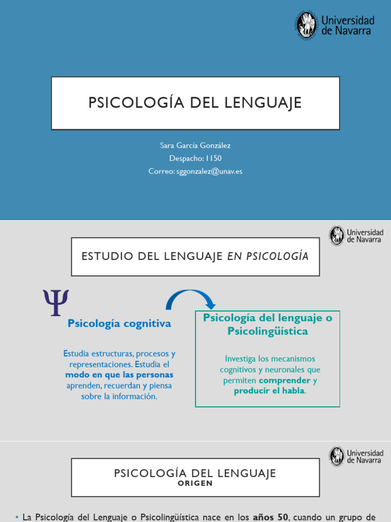 Tema 2 - ADI | PDF | Sicología | Psicolingüística