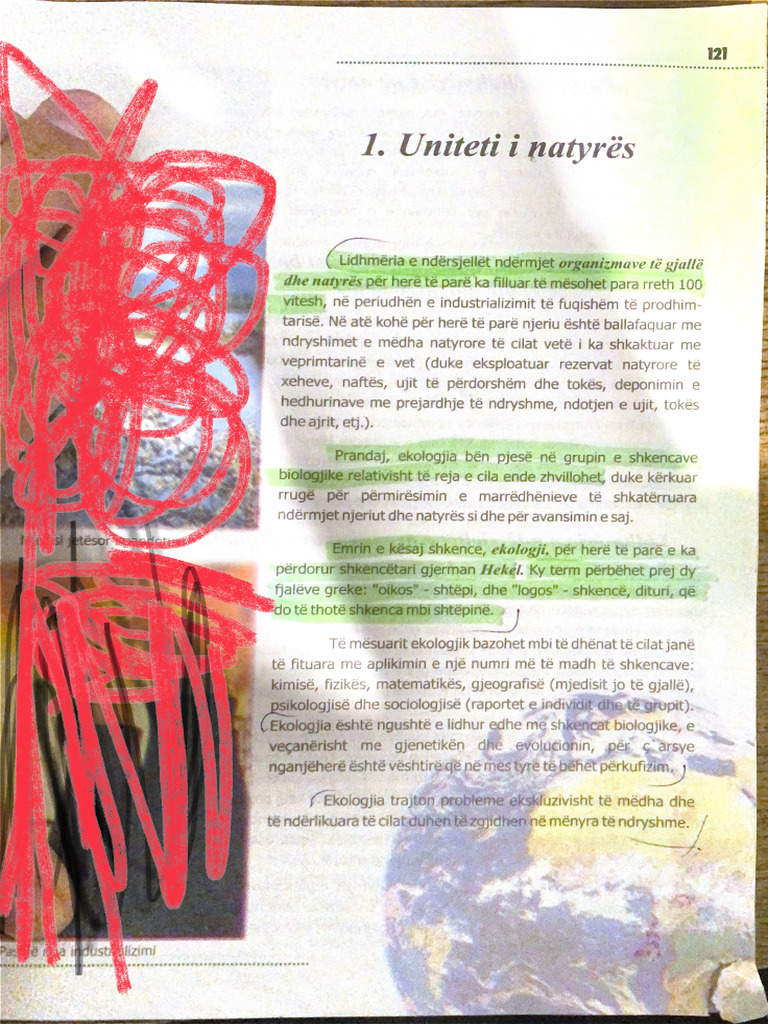 Scanned Document | PDF