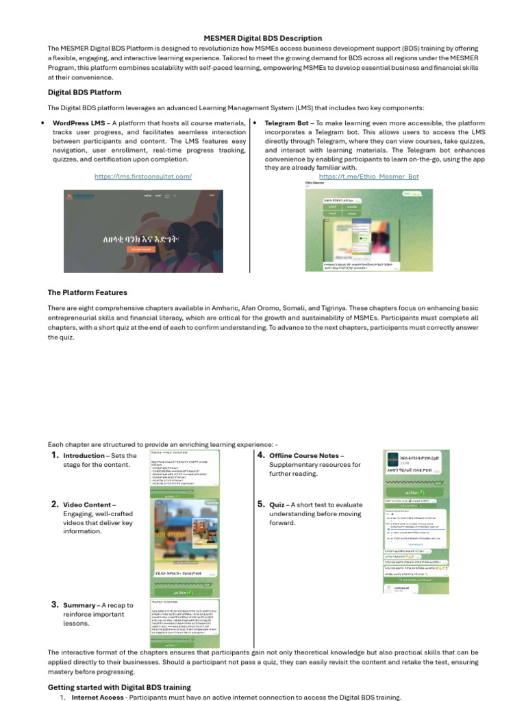 MESMER Digital BDS Description | PDF | Learning | Human Communication