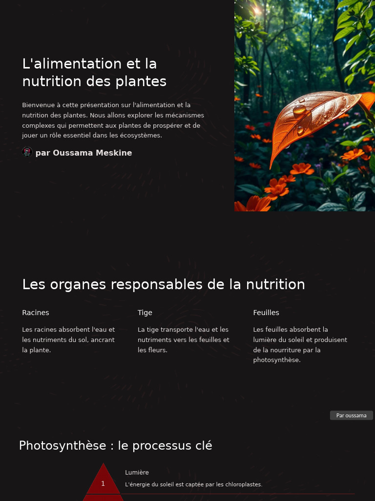 Lalimentation-et-la-nutrition-des-plantes | PDF | Feuille | Photosynthèse