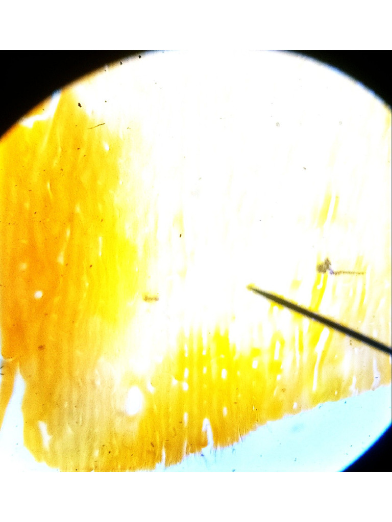 PDFReader 20250513 1928 | PDF