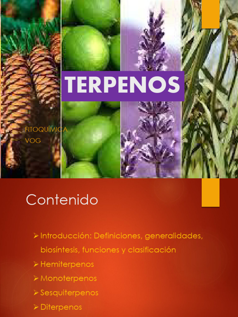 Terpenes: Biosynthesis and Functions | PDF | Natural Rubber | Biosynthesis
