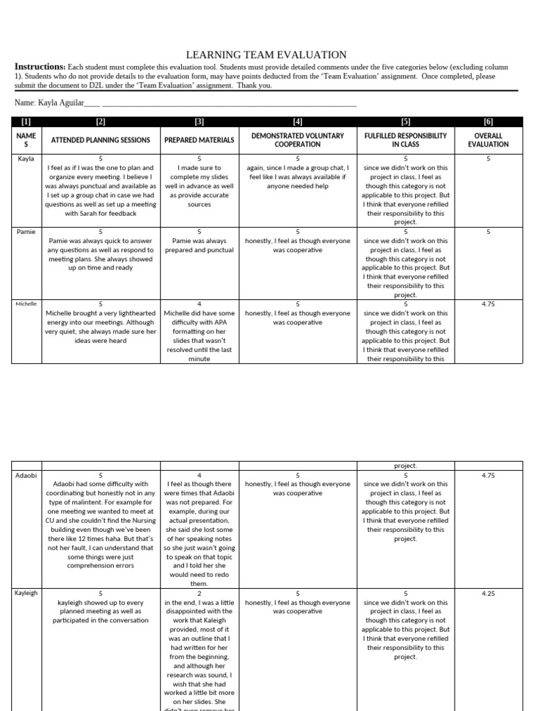 Team Evaluation Form 2025 | PDF