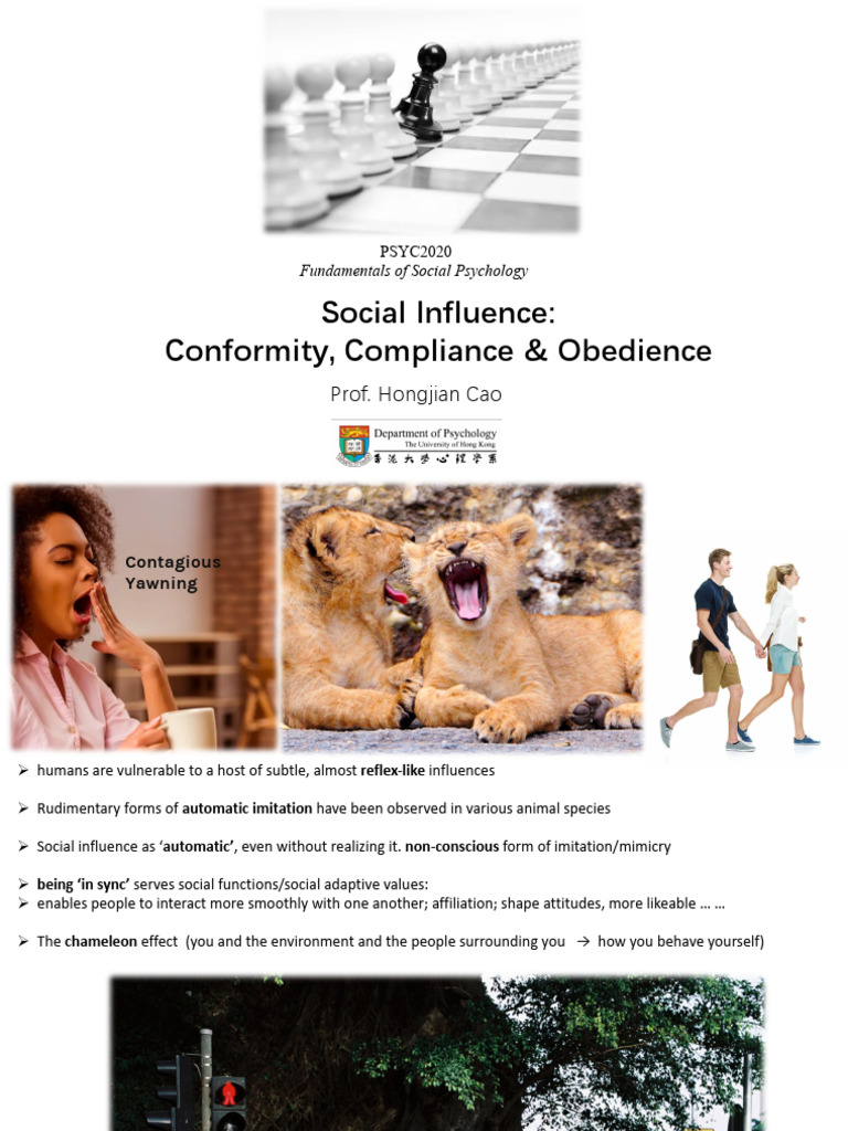 Class f56dddba78baa4ae2875f813a9e9a340 | PDF | Conformity | Psychology