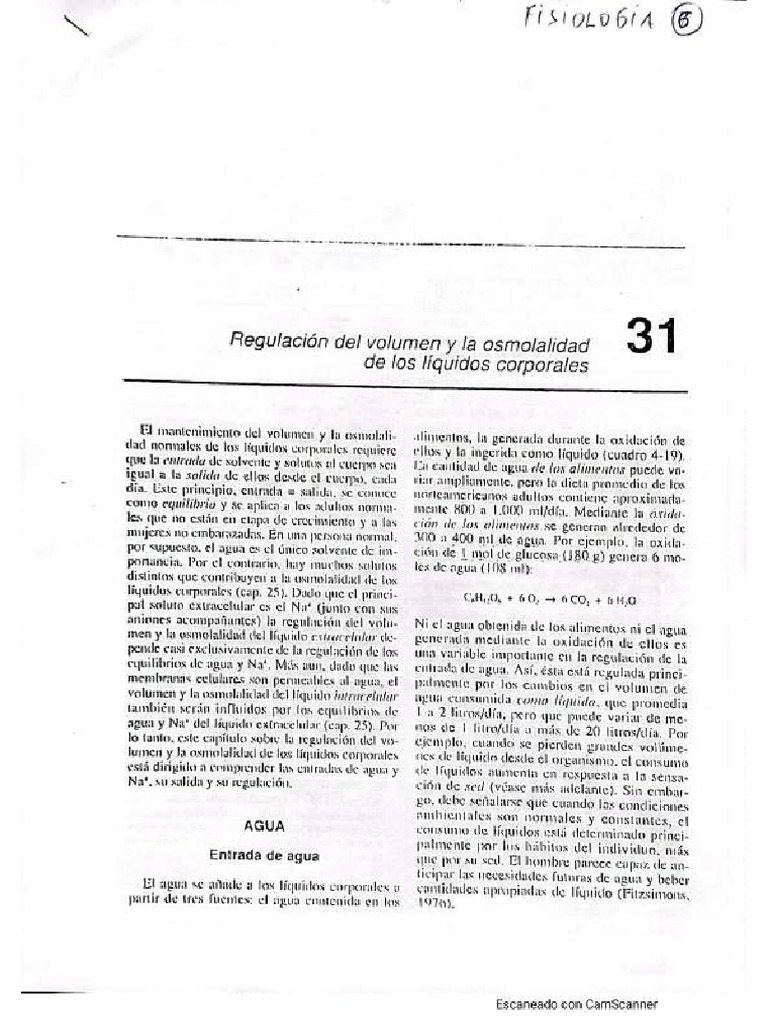 Capítulo 31 Best Taylor | PDF