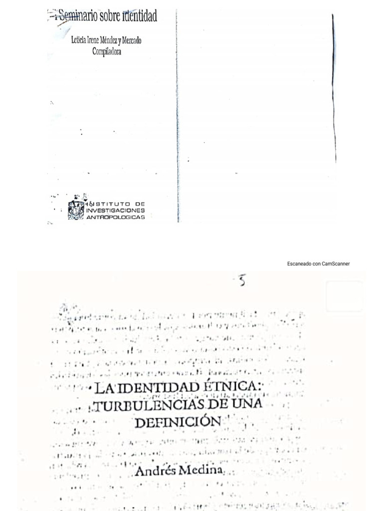 La Identidad Étnica | PDF