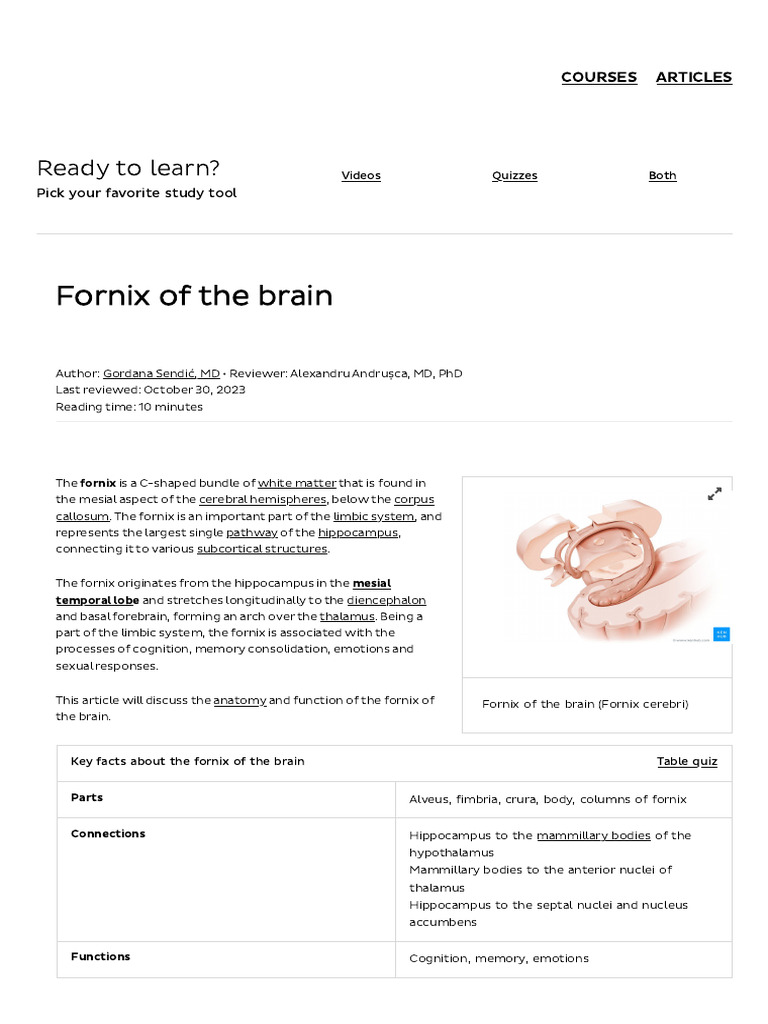 Fornix of the Brain_ Anatomy and Functions _ Kenhub | PDF | Hippocampus | Cingulate Cortex