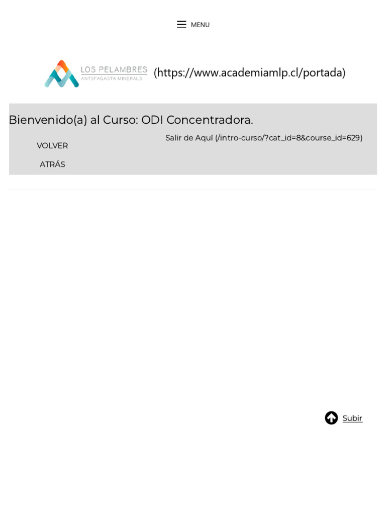 Prueba Odi Concentradora | PDF | Cloro | Cobre