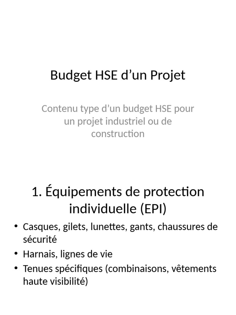 Budget HSE pour Projet Industriel | PDF