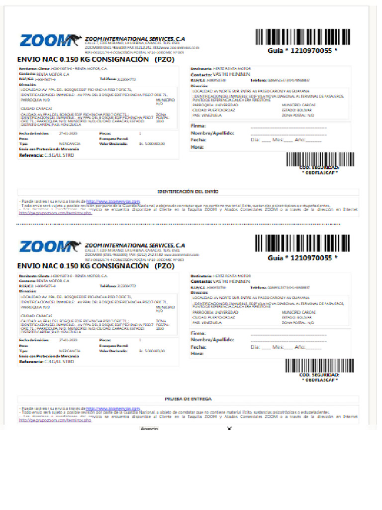 Zoom Shipping Label | PDF
