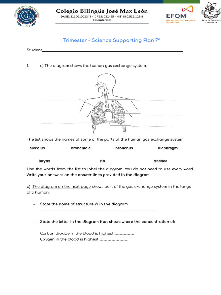 Supporting Plan - Worksheet | PDF | Experiment | Hypothesis