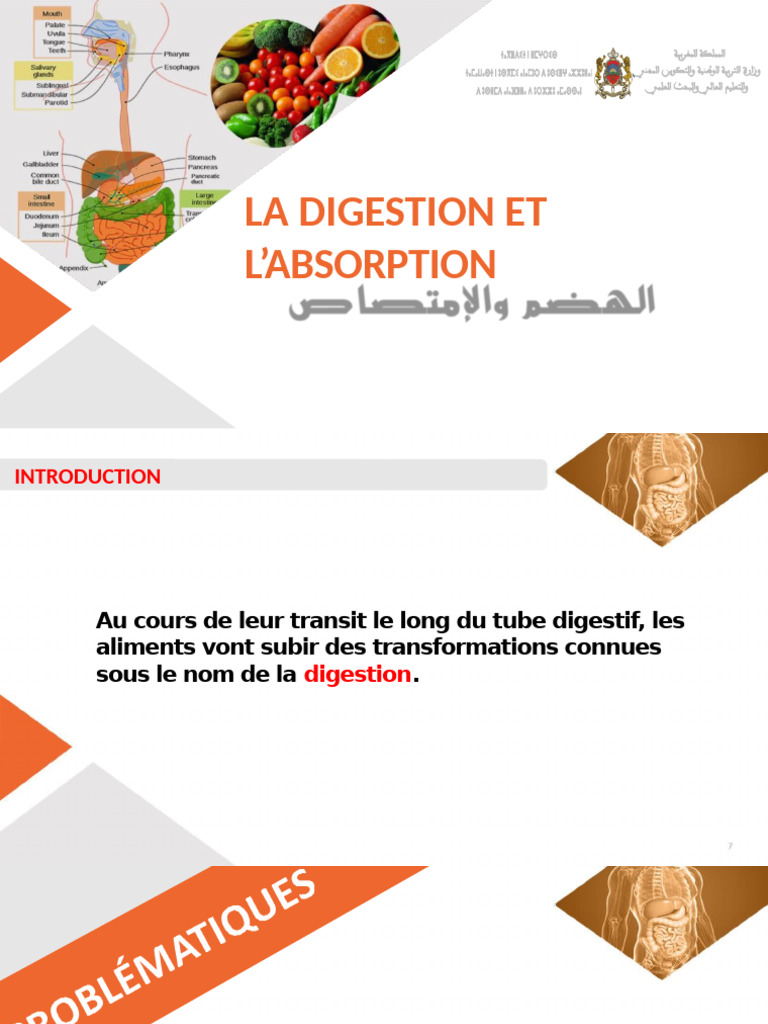 La Digestion Et l'Absorption-converti [Enregistrement Automatique ...