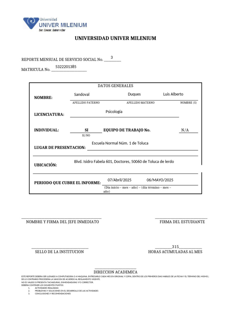 Reporte Mensual Servicio Social | PDF