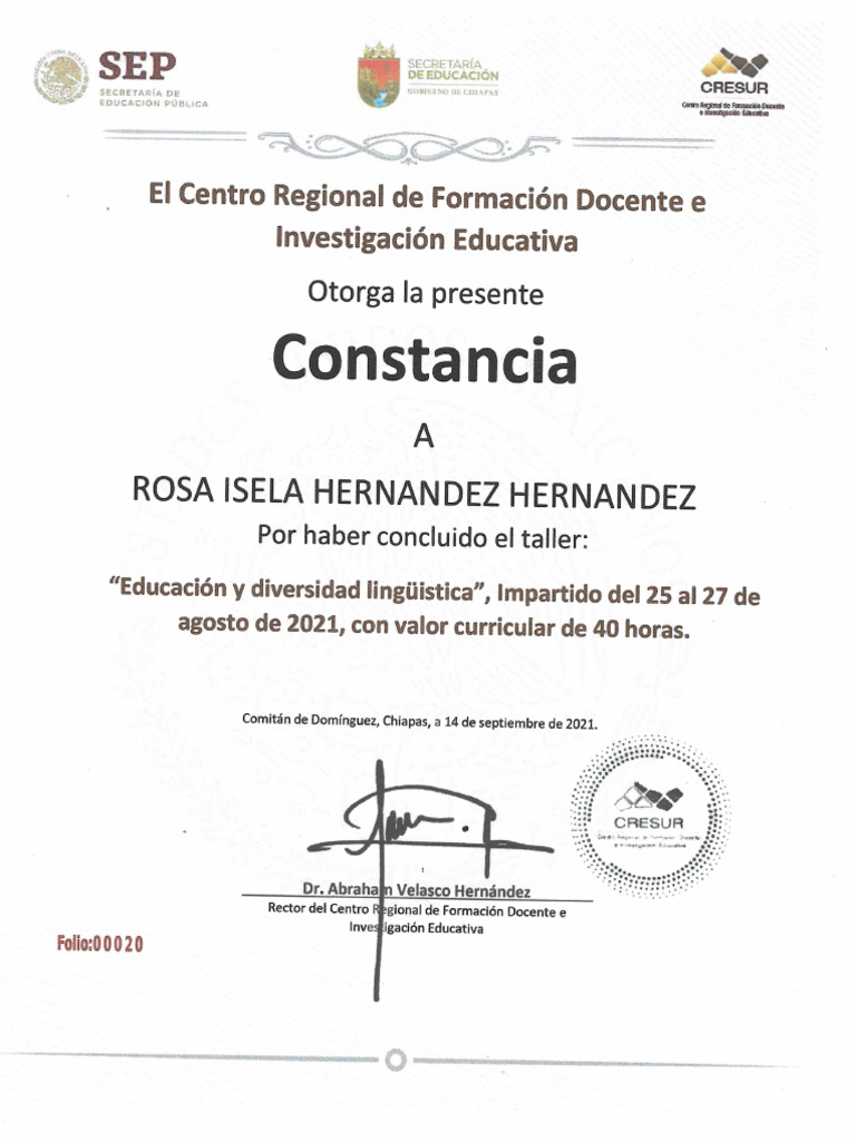 Constancia | PDF