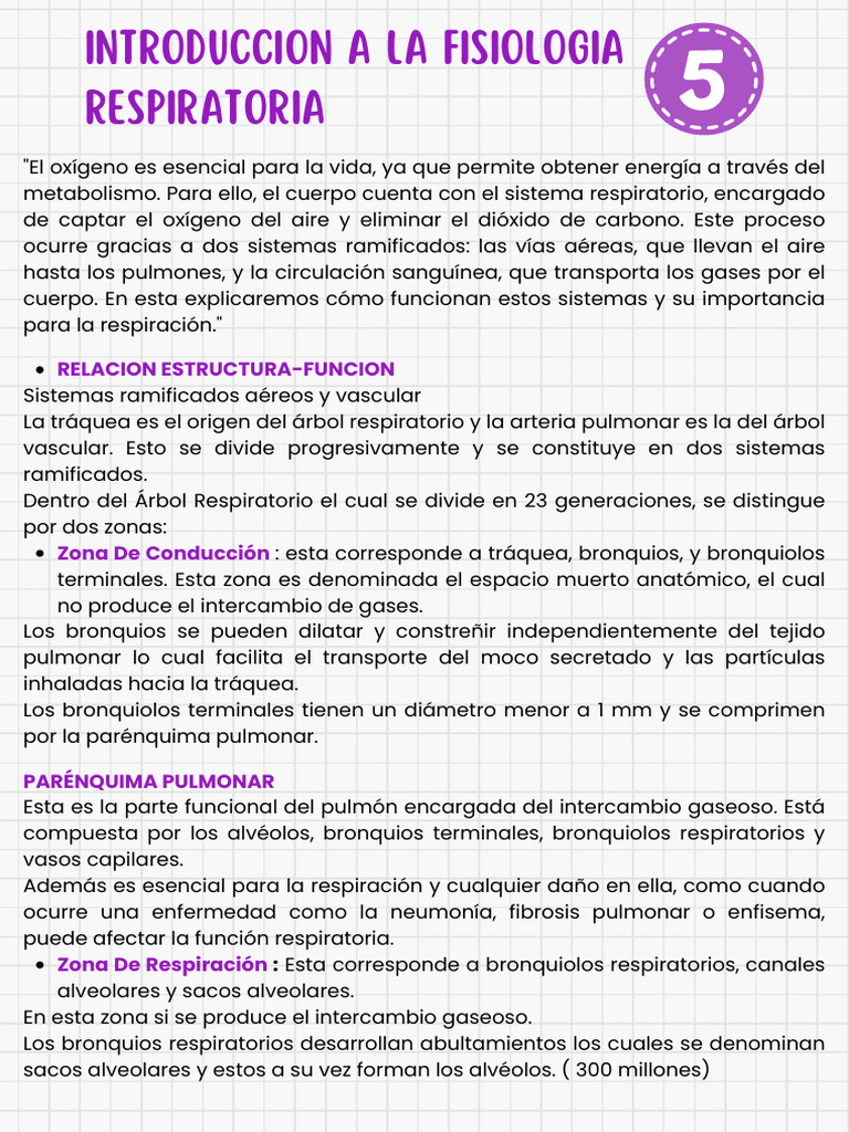 Resumen Del Libro | PDF | Sistema respiratorio | Pulmón