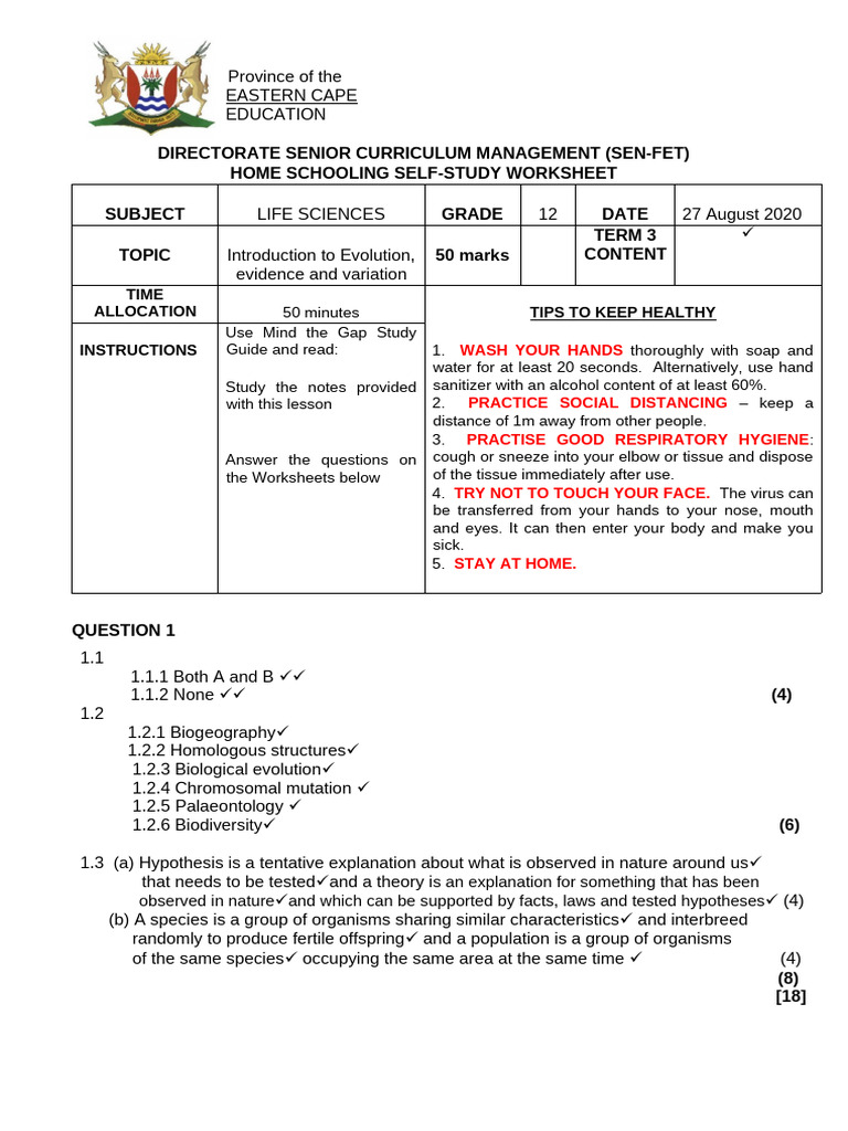 Grade 12 Life Sciences Evolution Worksheet | PDF | Fossil | Biology