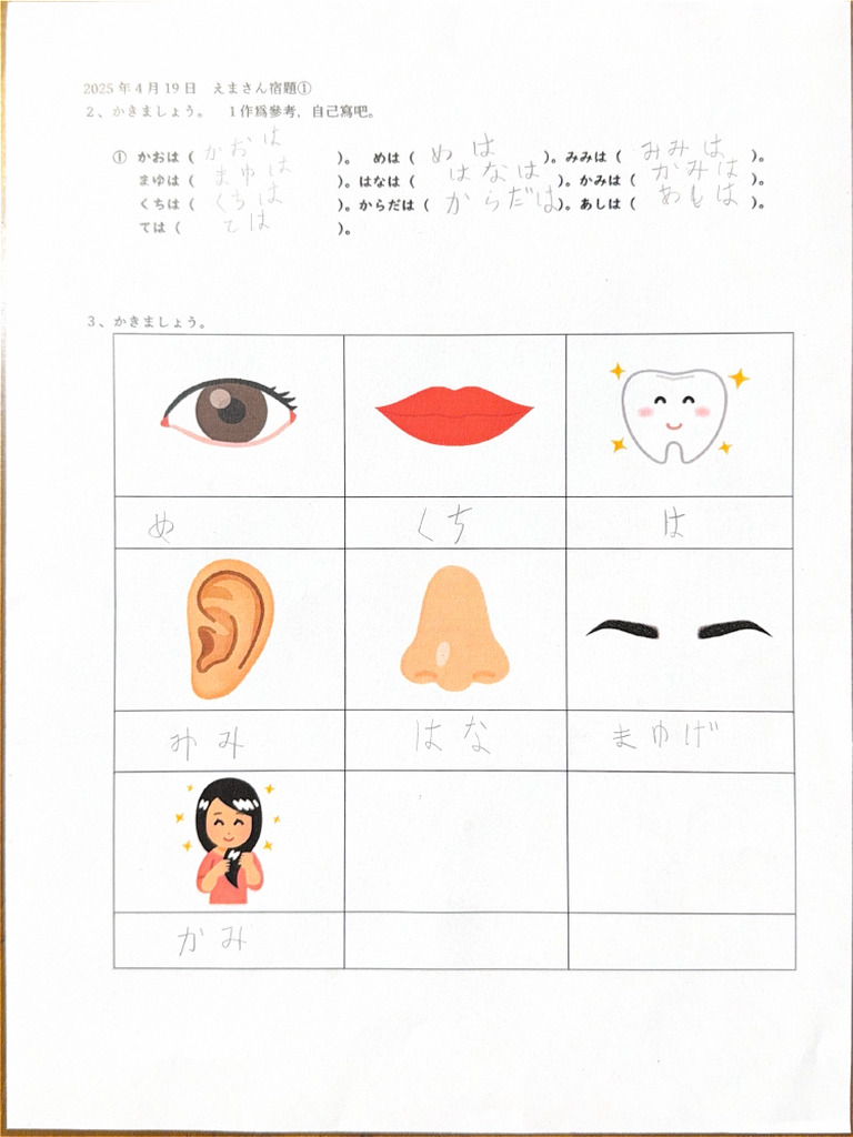 Japanese Homework | PDF