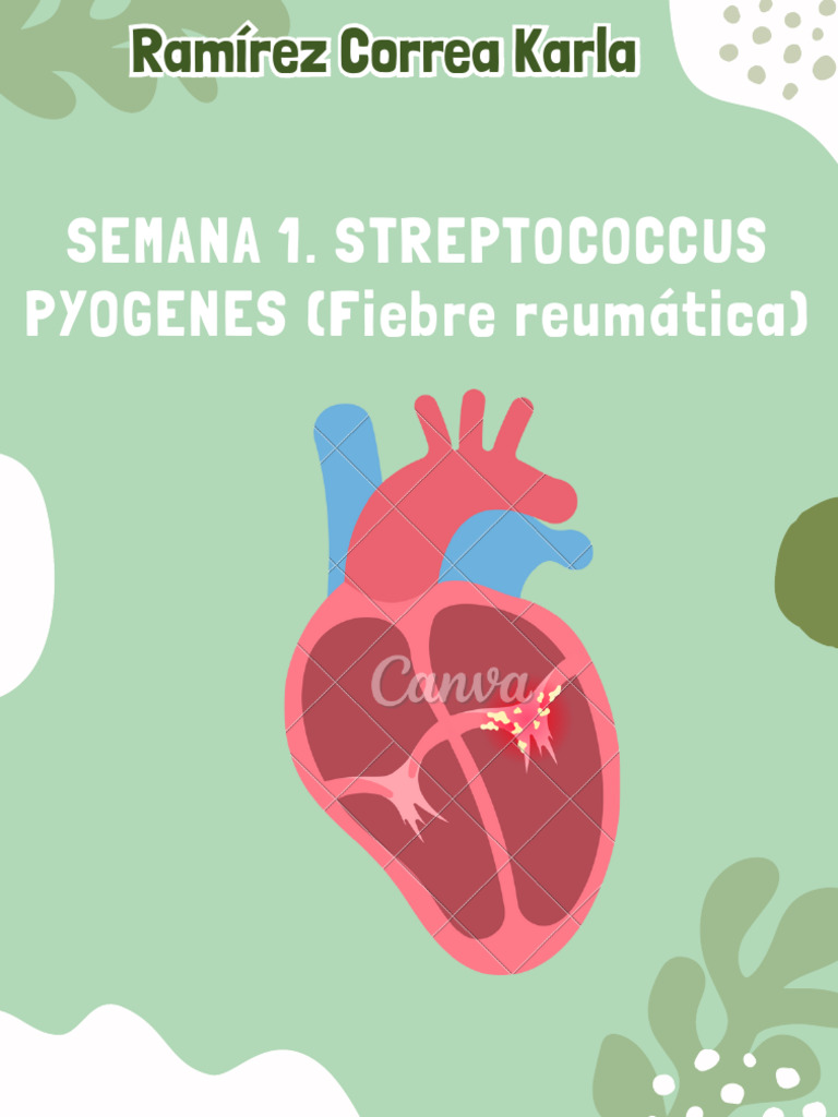 Características y contagio de S. pyogenes | PDF | Estreptococo ...