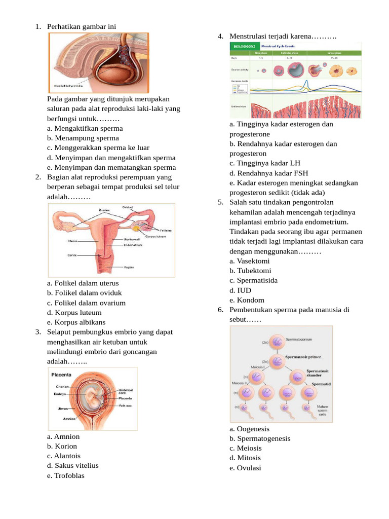 Soal Sistem Reproduksi Kelaas 11 S0all | PDF