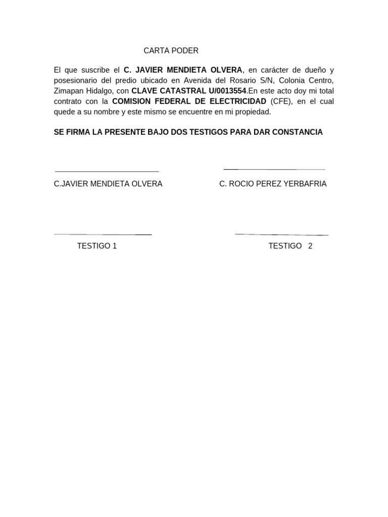 Carta Poder | PDF