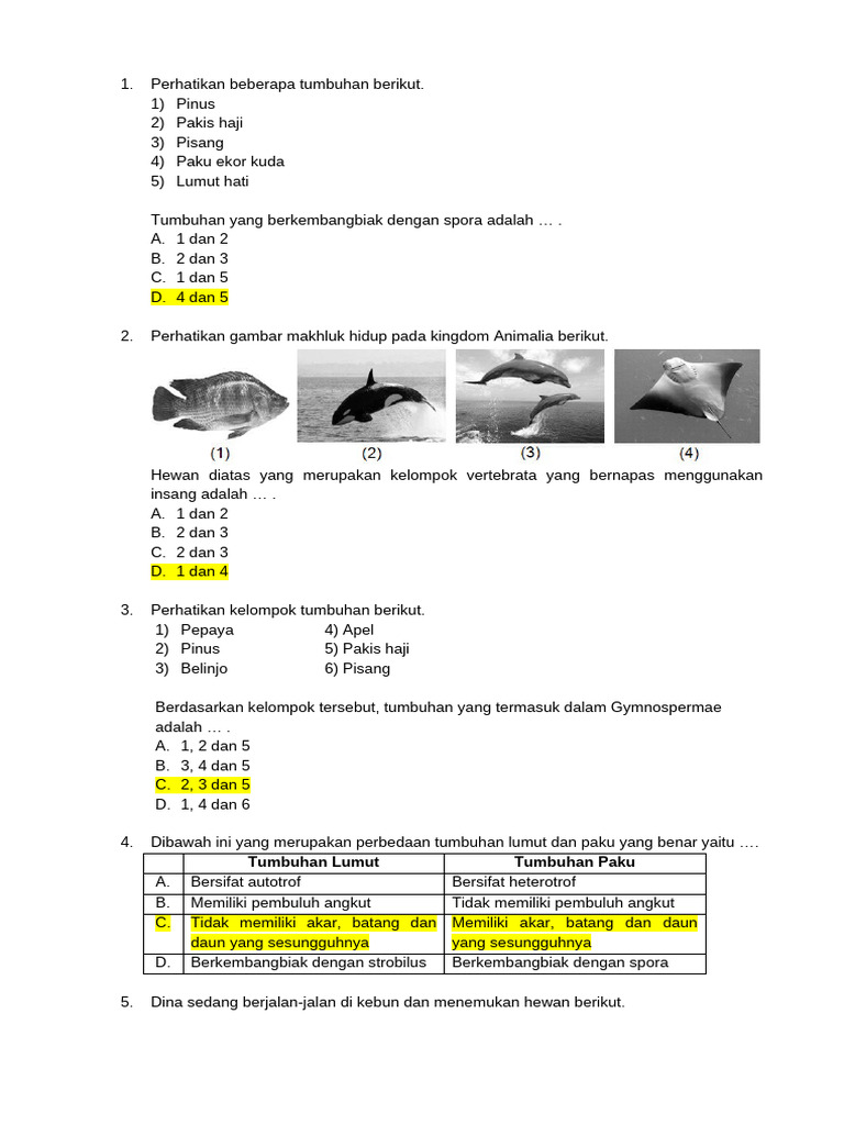 Plantae, Animalia, Wujud Zat | PDF