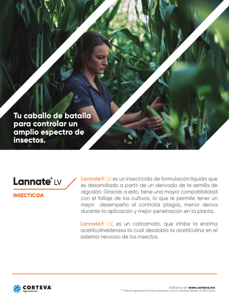Folleto Lannate LV | PDF | Insectos