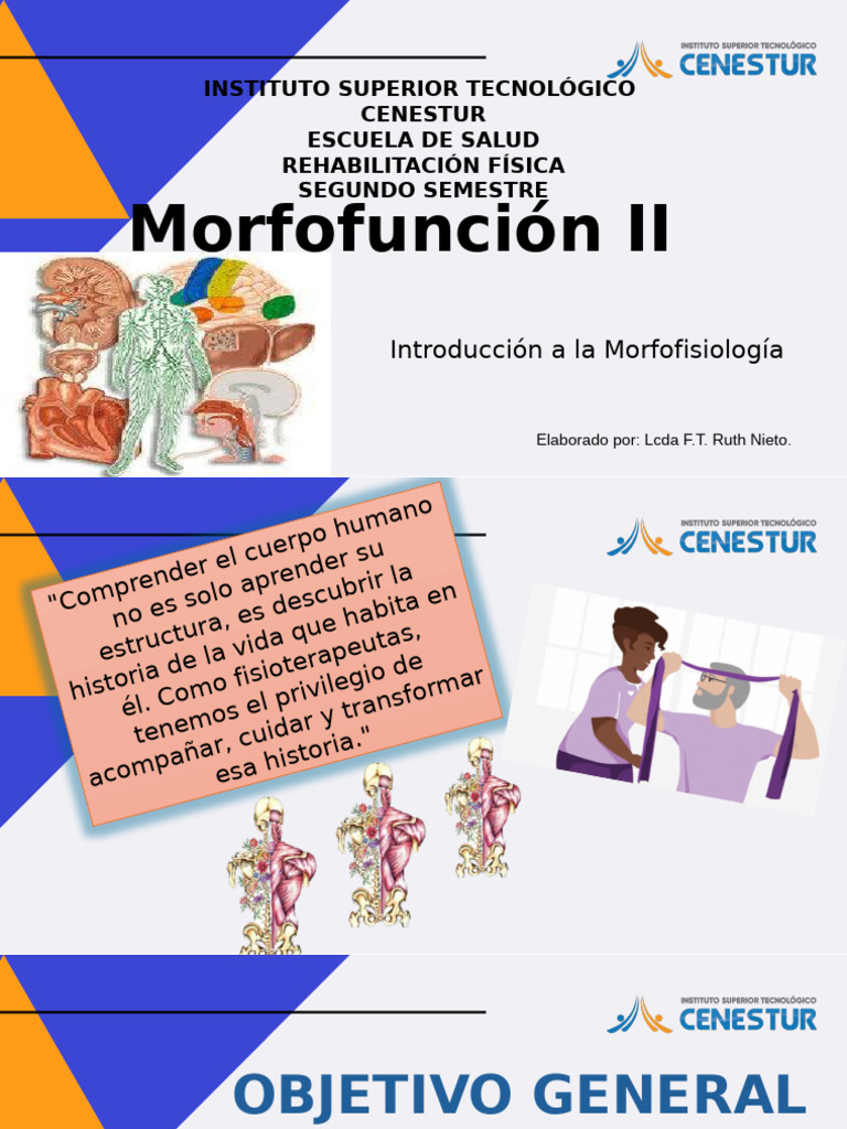 Clase 1 Introduccion Morfo LL | PDF | Terapia física | Feto