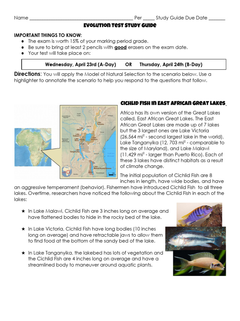 2025 Evolution Study Guide | PDF | Natural Selection | Fish