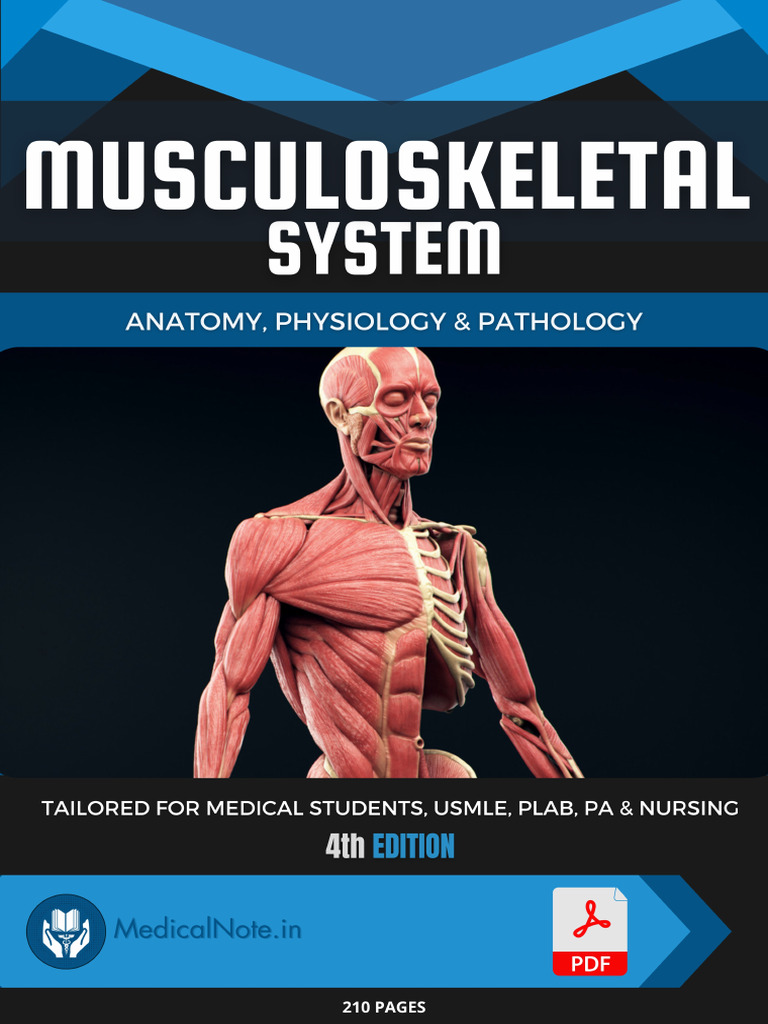 Musculoskeletal System Study Notes | PDF | Vertebra | Vertebral Column