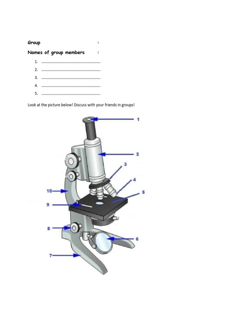 Student Worksheets Observation With Microscope | PDF | Glass ...