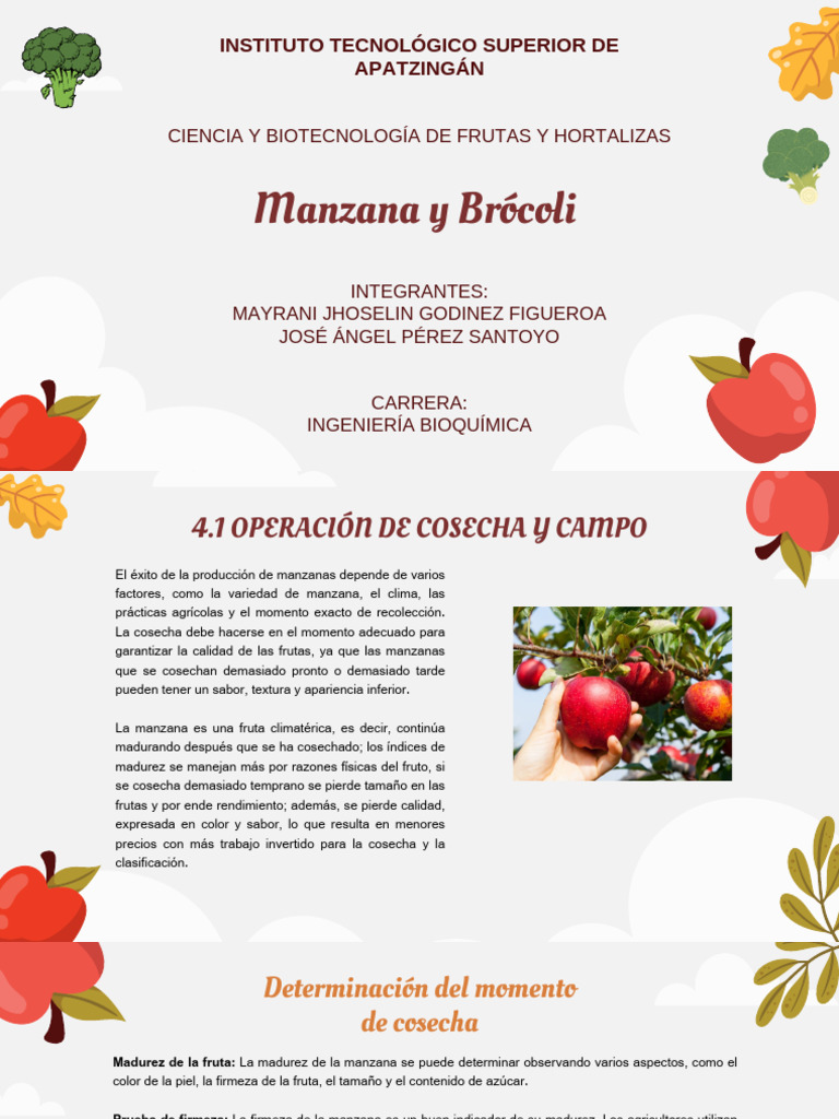 Ev U4 Investigación Exposición | PDF | Cosecha | manzana